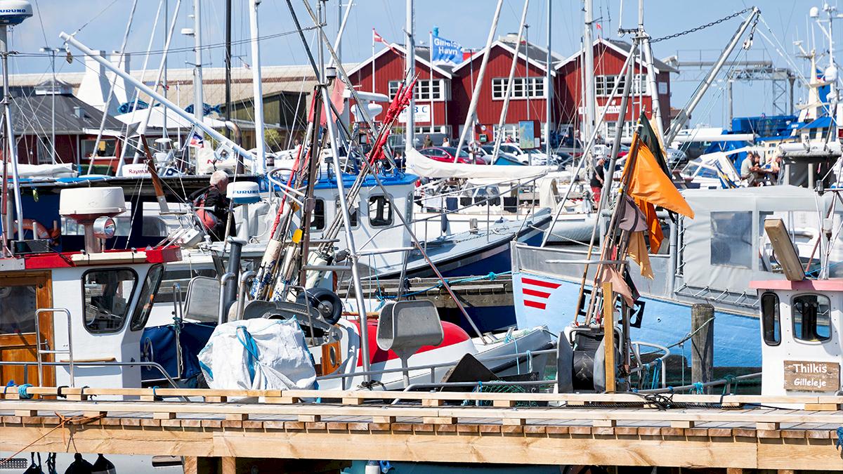 Ta båten runt Danmarks riviera - Praktiskt Båtägande